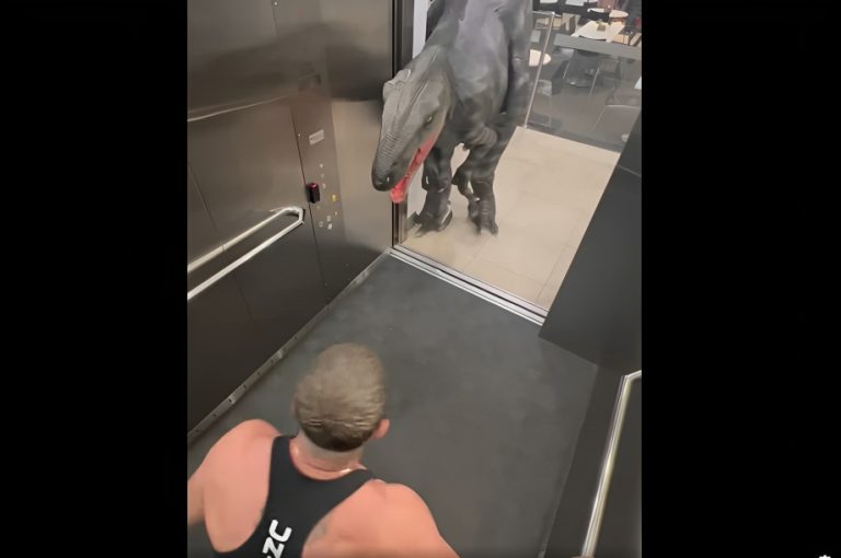 Laughter Lifts: Unbelievable and Amusing Elevator Chronicles ...